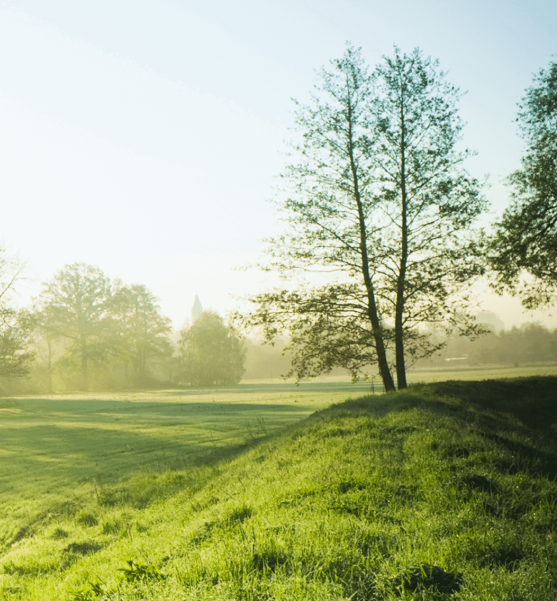REED – Societe Generale Group exits GreenDot following its successful ...