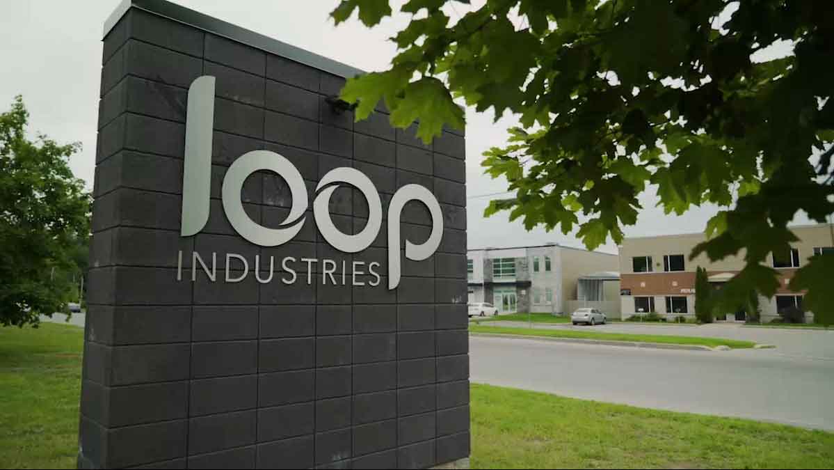 Loop Europe - Reed Management